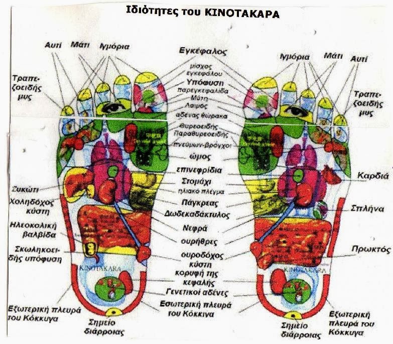 Ρεφλεξολογία χέρια και πόδια - Η ΔΙΑΔΡΟΜΗ