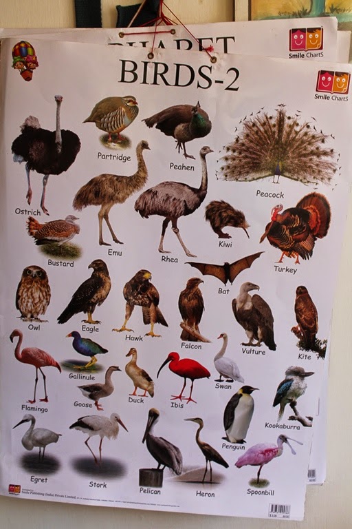 Learning Charts for Babies - Wall Hanging Charts for Toddlers - Test Blog