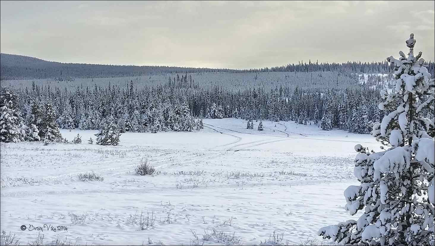 Northern Interior British Columbia: Winter's December 2015 Snowfall ...
