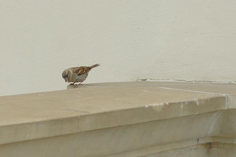 I tu i tam....Y aqui y alla: Grobowiec-piramida, ruina zamku i Perła ...