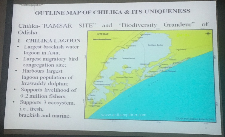 The Explorer of Miracles: Imaging Chilika #AToZChallenge
