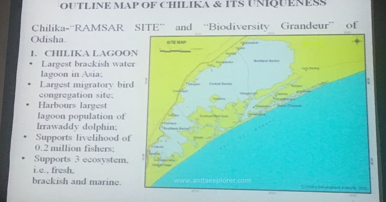 Imaging Chilika #AToZChallenge | The Explorer of Miracles