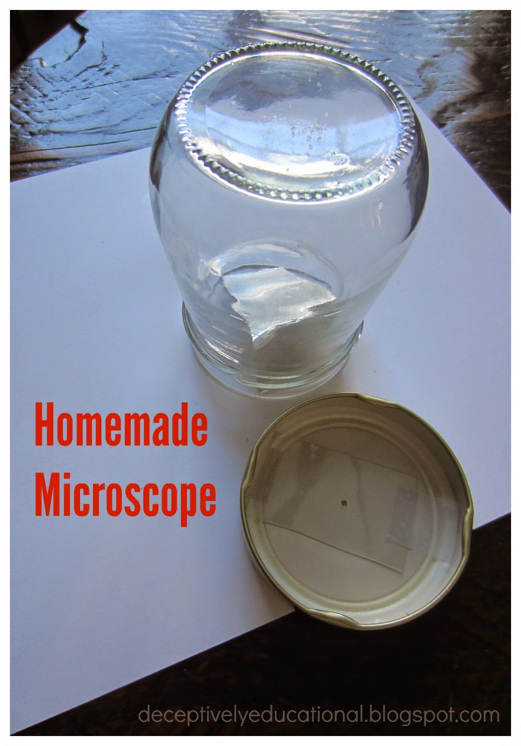 Relentlessly Fun, Deceptively Educational: Homemade Microscope