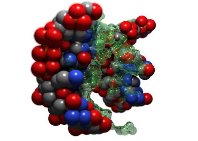 Large Scale & Interactive Scientific Visualization: Molecular Visualization