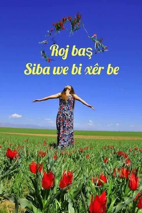 Günaydın Ne Demek Kürtçe Türkçe Çeviri? - GamTeli