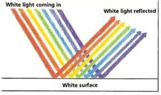 Addition and Subtraction of Light ( English ): The Principle of Light ...