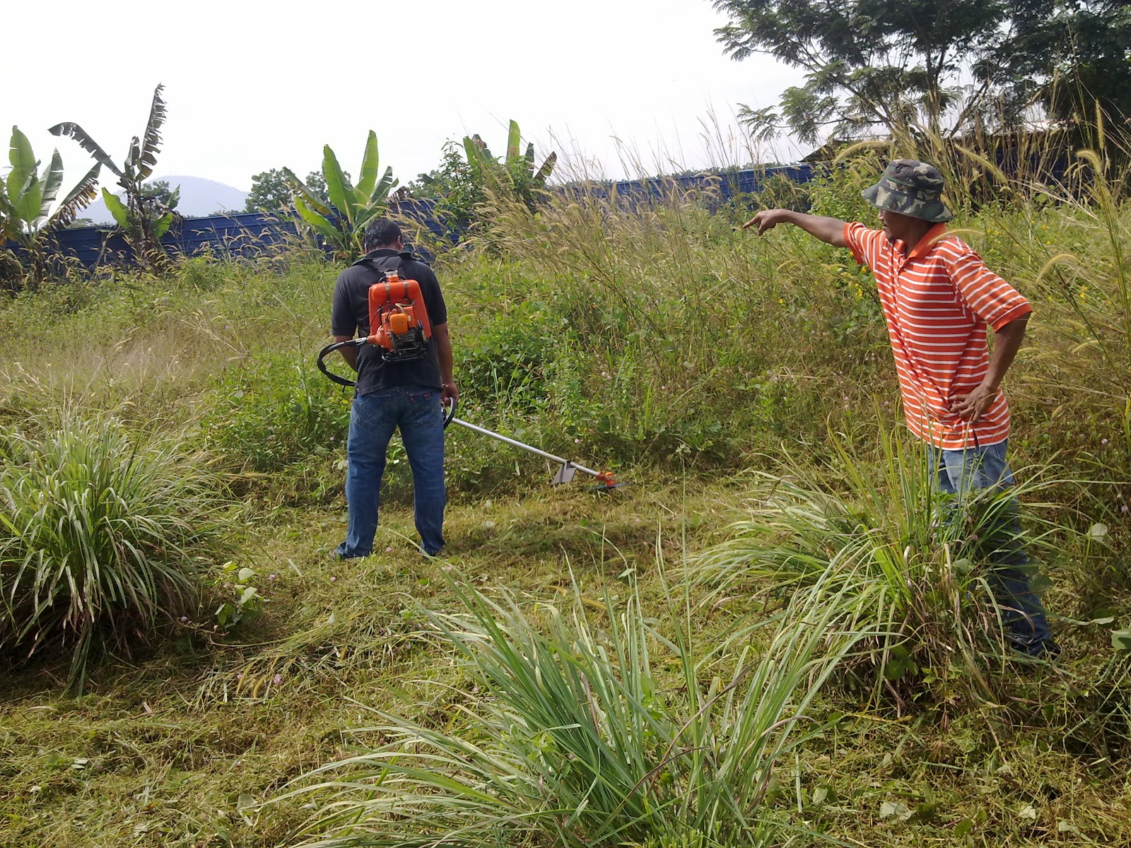 Khidmat Potong Rumput Dan Meracun - Api Viral