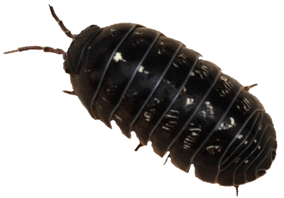 July 2012 - True Wildlife Creatures