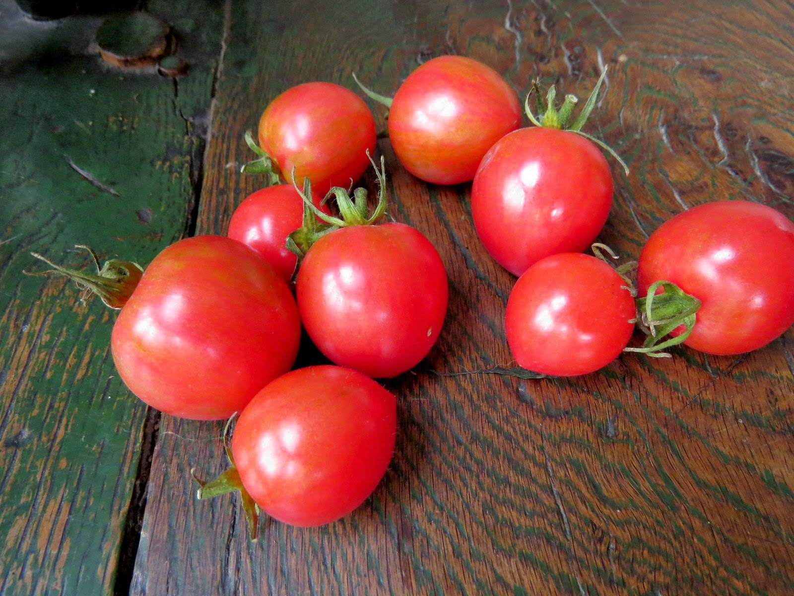 Mostly Tomato Mania: Tomato pictures