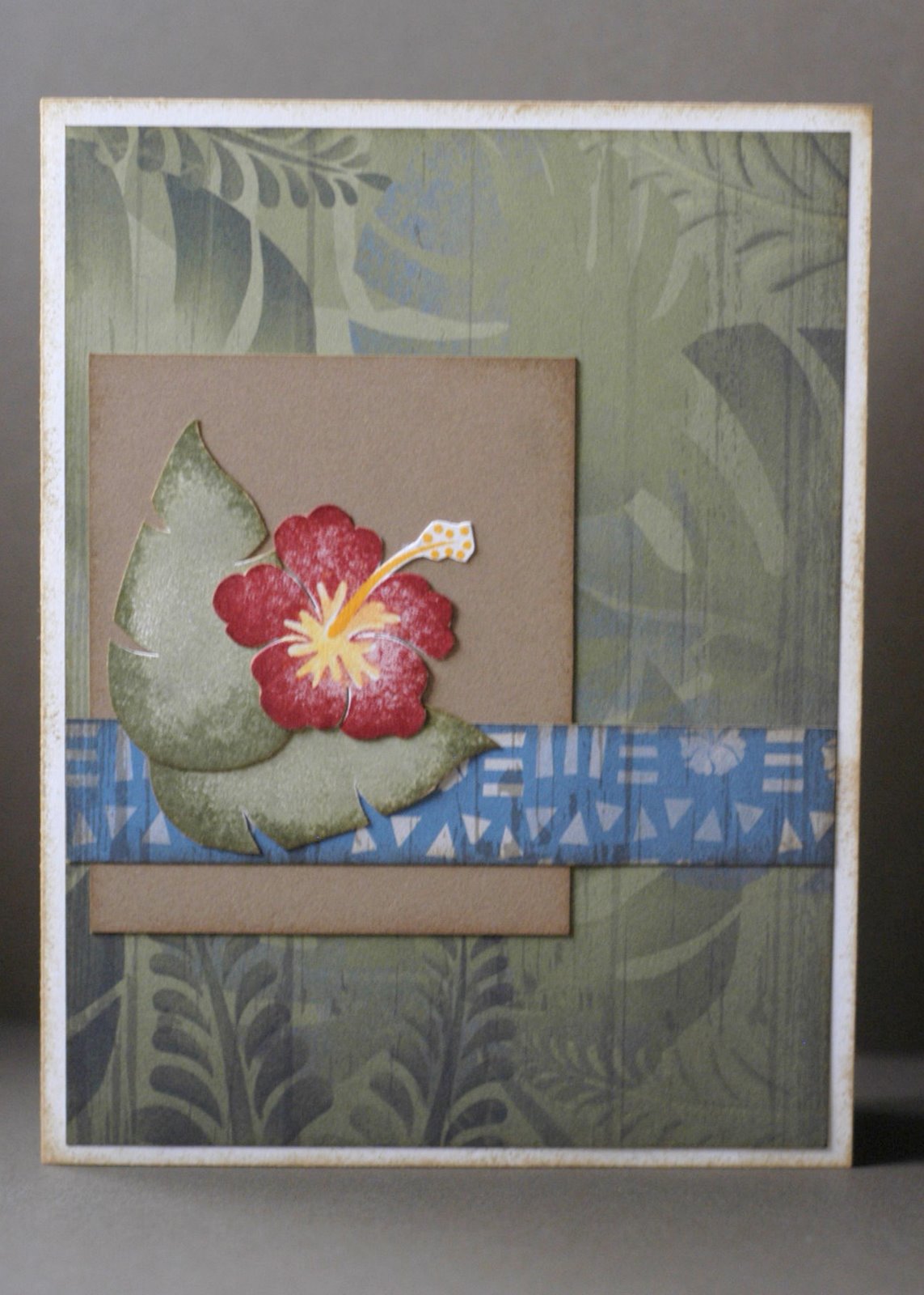 The Life Of Buttercup: Aloha cards gift set
