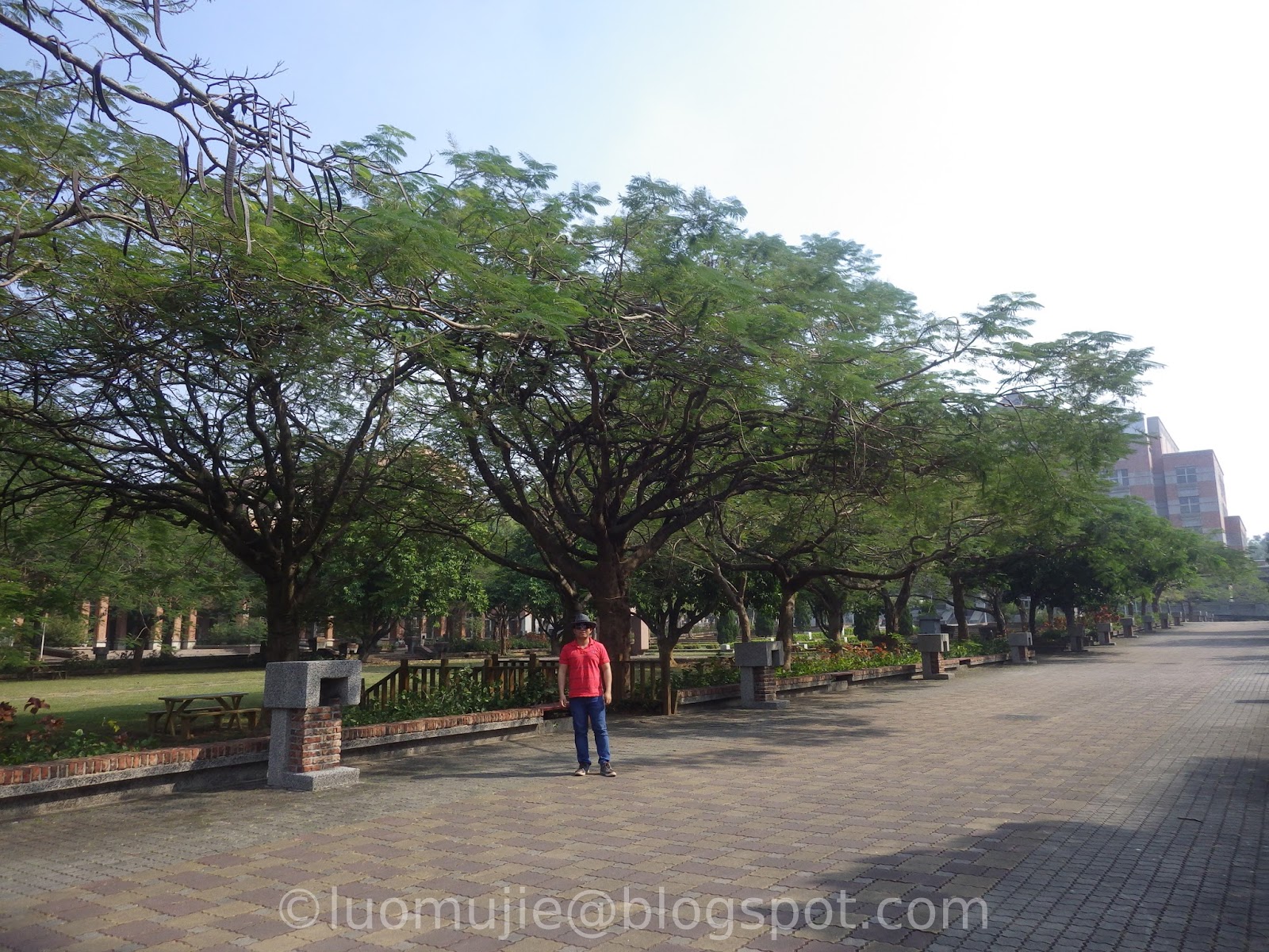 Meteor Garden (流星花園) real-life university - National Chung Cheng ...