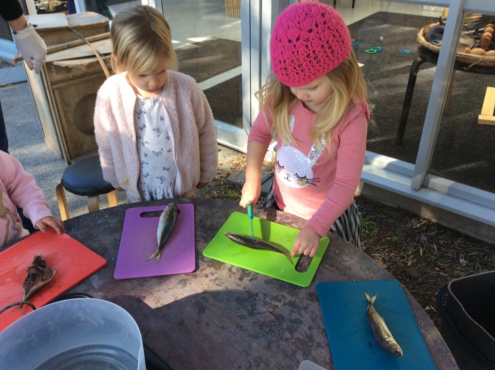 Bream Bay Kindergarten: What is a "Provocation"
