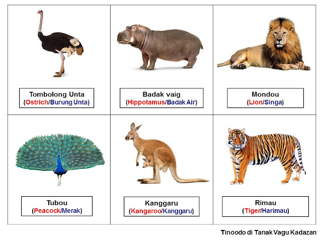 Tanak Vagu Kadazan Dusun: Tazam Tosizau (Wild Animals, Binatang Liar)