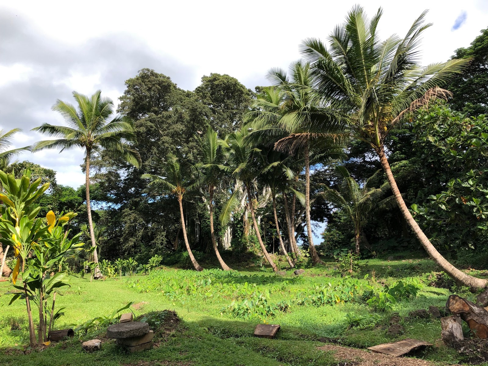 Hawaii Mom Blog: Ulupo Heiau