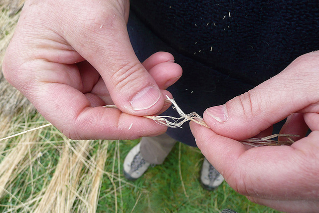 flax to linen victoria bc: Retting