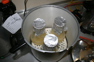 Autoclave CertoClav: Préparation et autoclavage de milieux de culture à ...