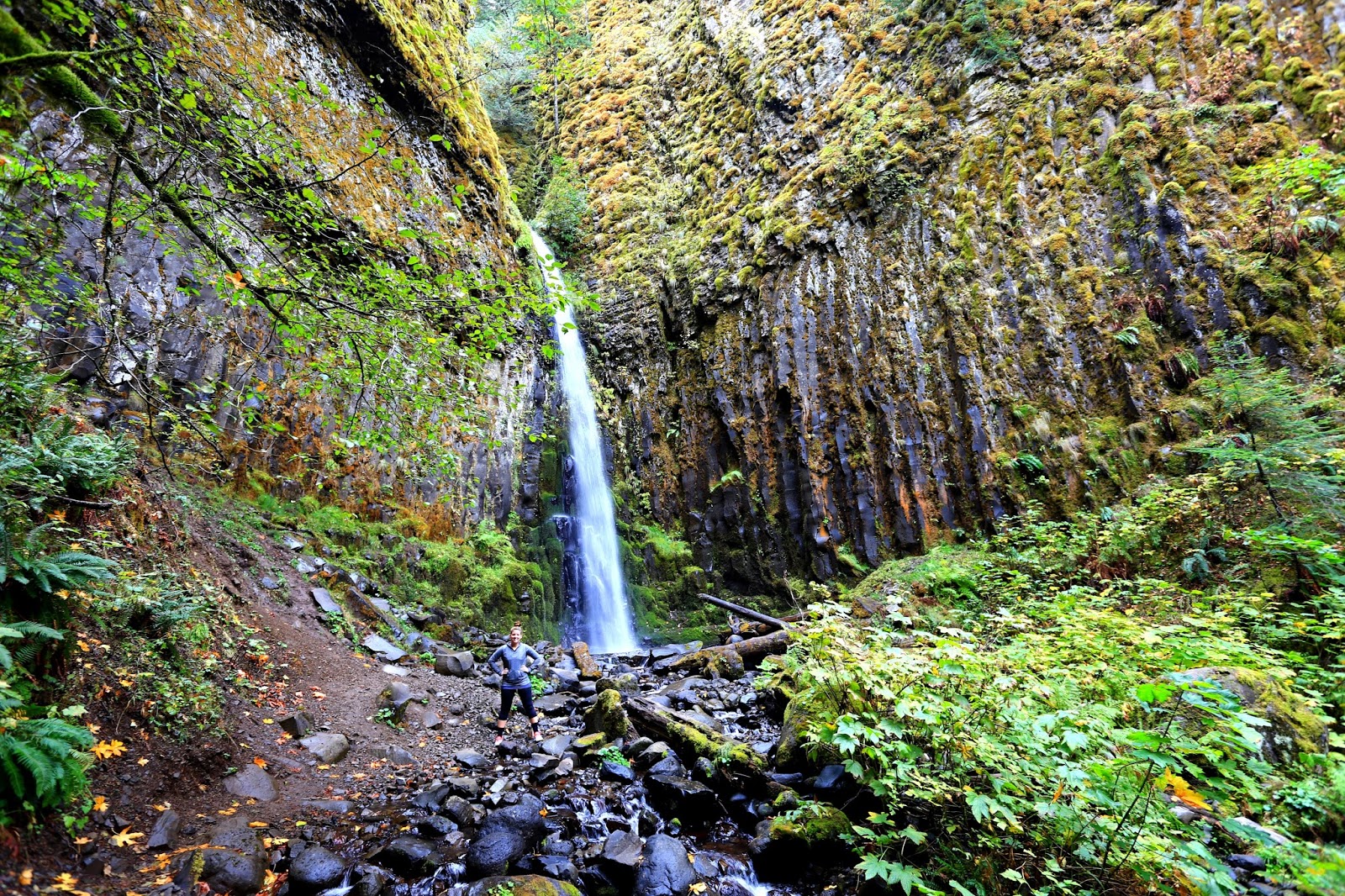Columbia Gorge Autumn Dry Creek Falls Sponsored By Naked Juice Rachel Jane Macauley