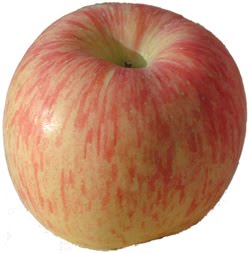 Buah-buahan Favroute hijau itu duniaku