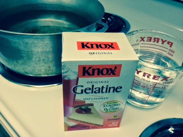 Who's Who and Who's New: Discovering Gelatin and Colors!