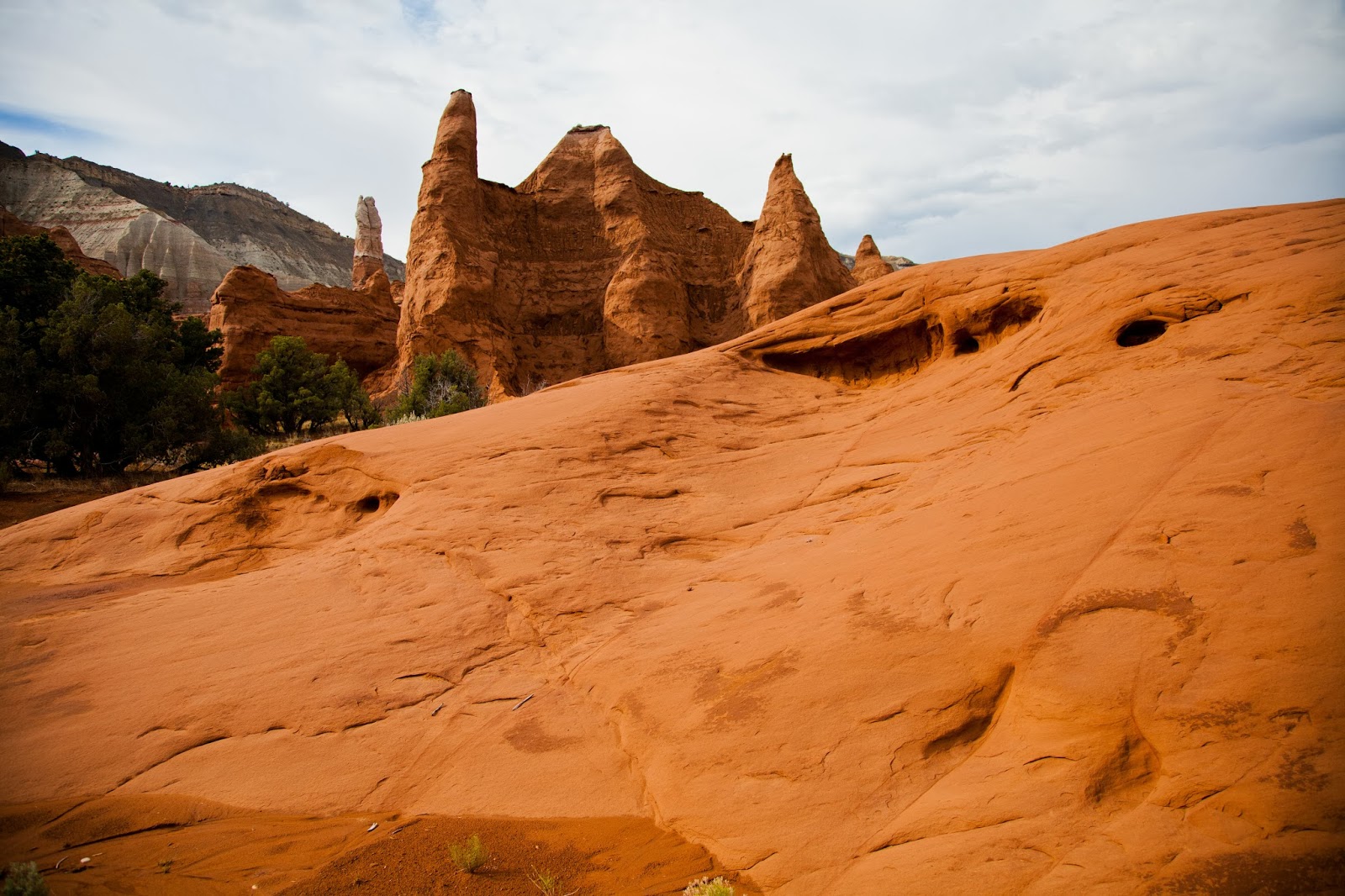 Walking Arizona: Patterns in the Sandstone