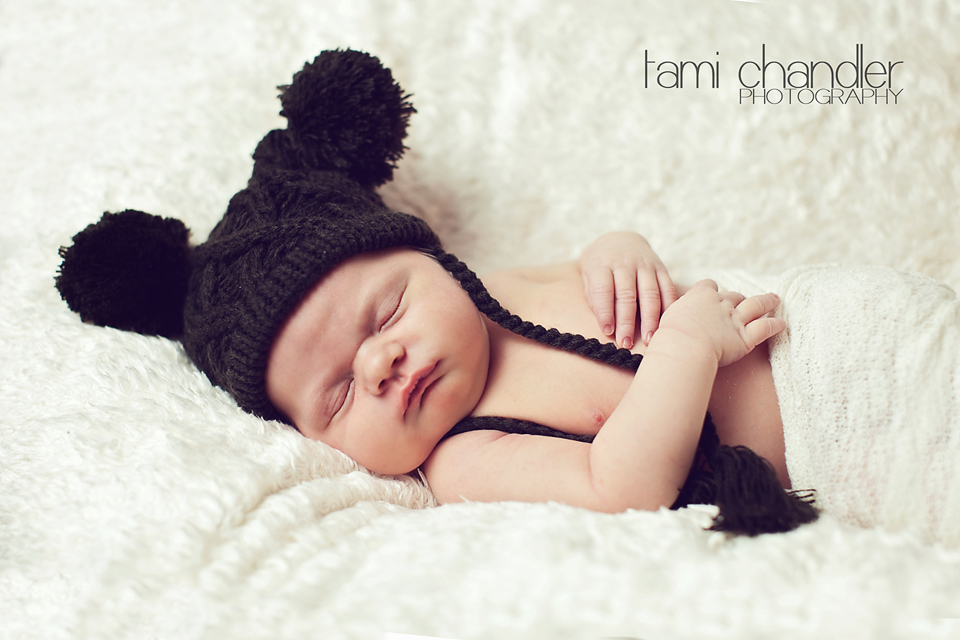 Tami Chandler Photography