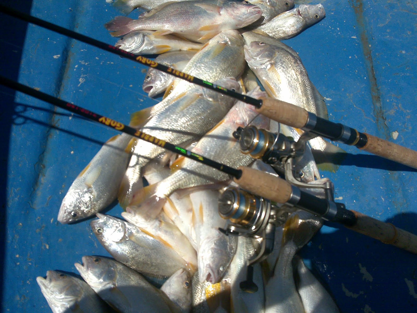 gilakail: SERANGAN NIBEA SOLDADO LAGI..