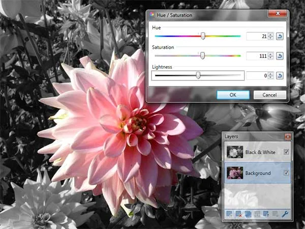 PhotoEffect: Selective Coloring in Paint.NET