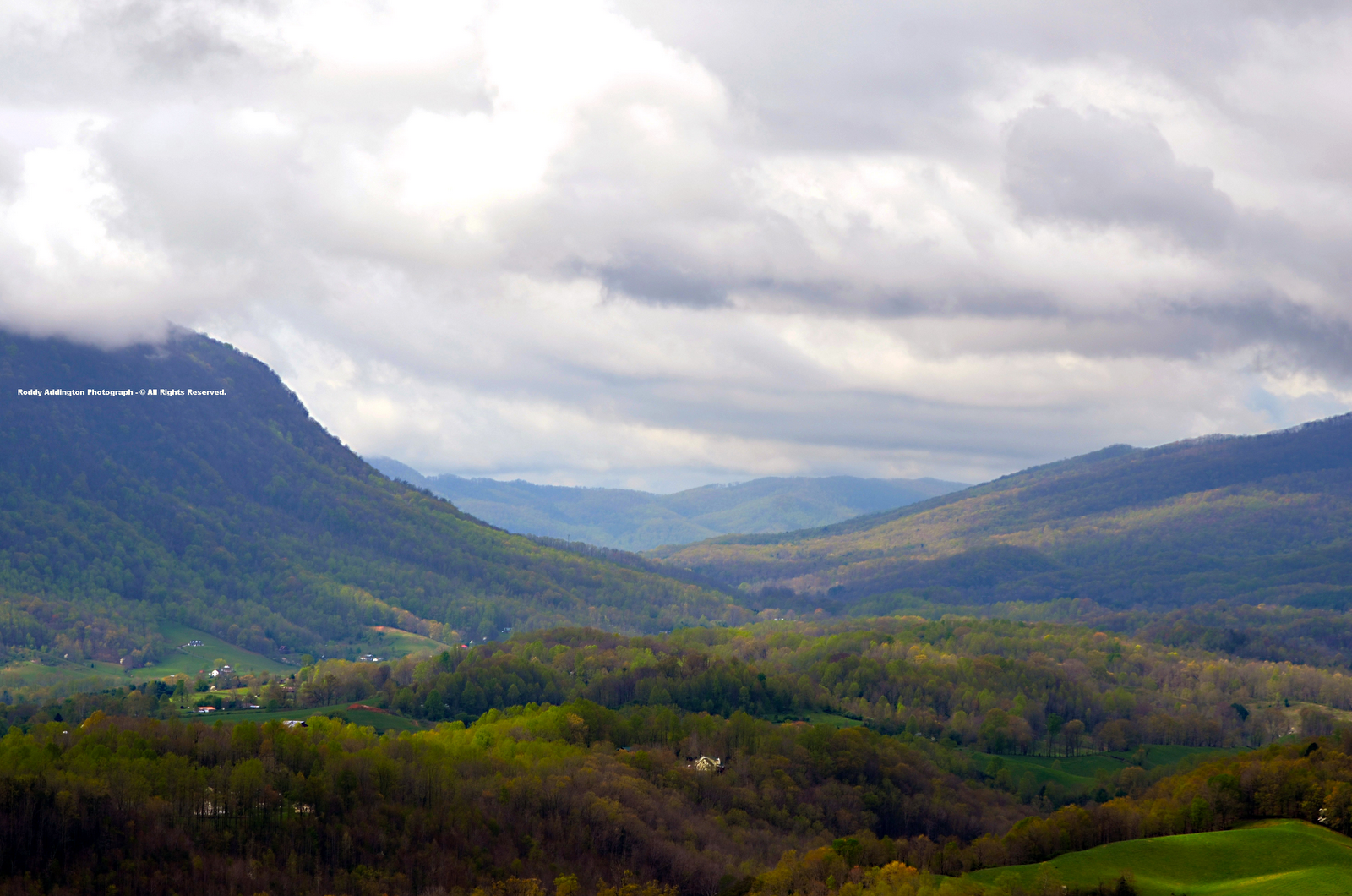 The High Knob Landform: April 2012 - Spring Majesty In Maple Gap