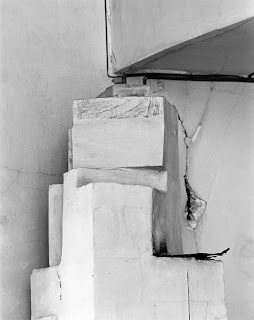 Let's keep it wild.: Honeycomb