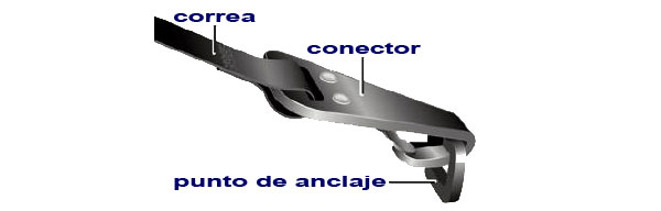 Micaela Online: ¿Qué es el Top Tether?