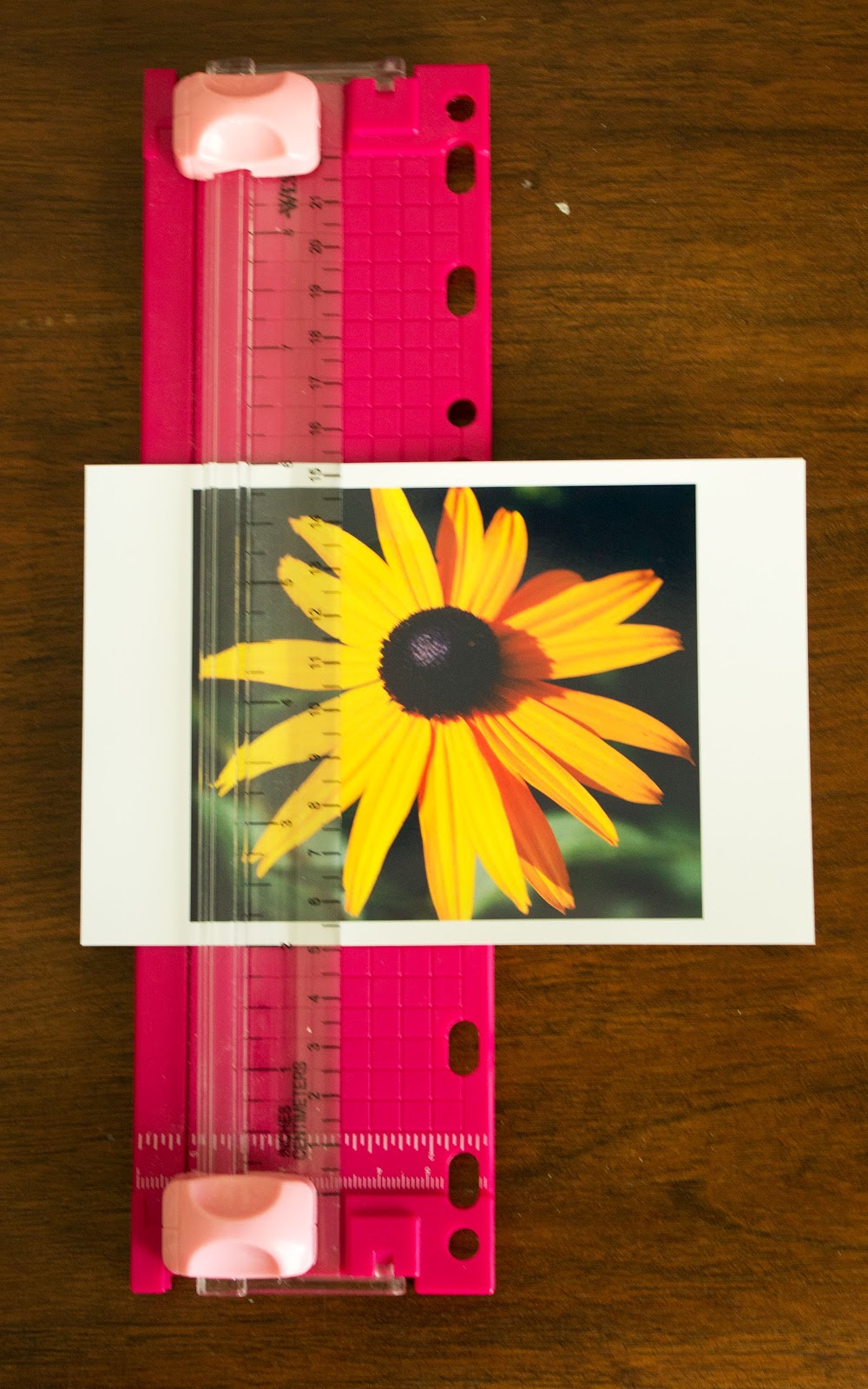 Midwestern City Girl: How To Make Photo Greeting Cards