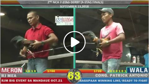 RJ MEA 'VS' CONG. PATRICK ANTONIO (4-STAG FINALS) 2ND NCA 7-STAG DERBY ...