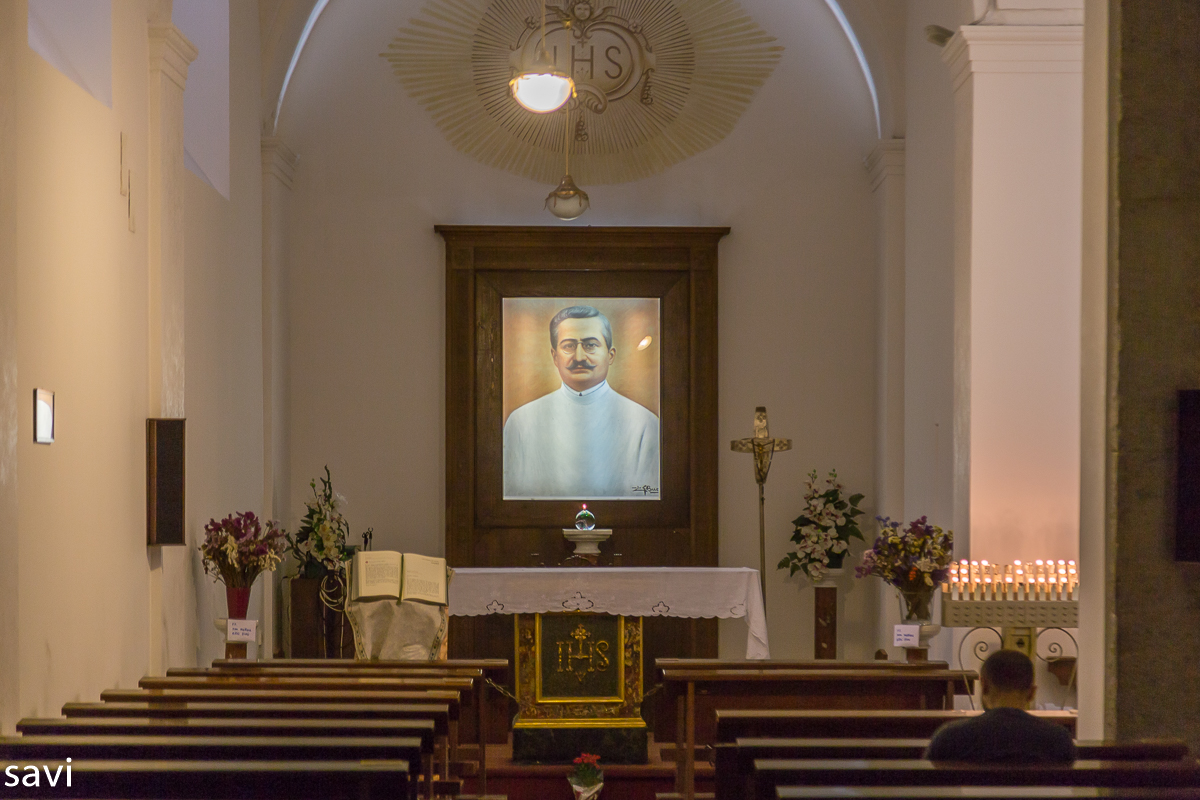 sacerdos viennensis: Guiseppe Moscati