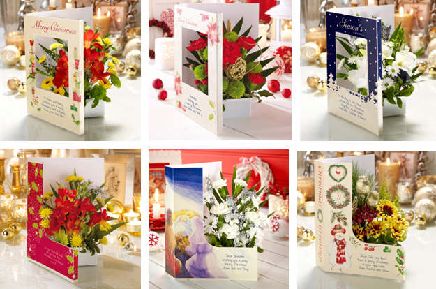 Designs on Nature: Christmas Flower Cards