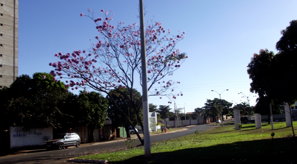 VIAGEM, TURISMO E AVENTURAS POR LUGARES INCRÍVEIS : ITUMBIARA / GOIÁS ...