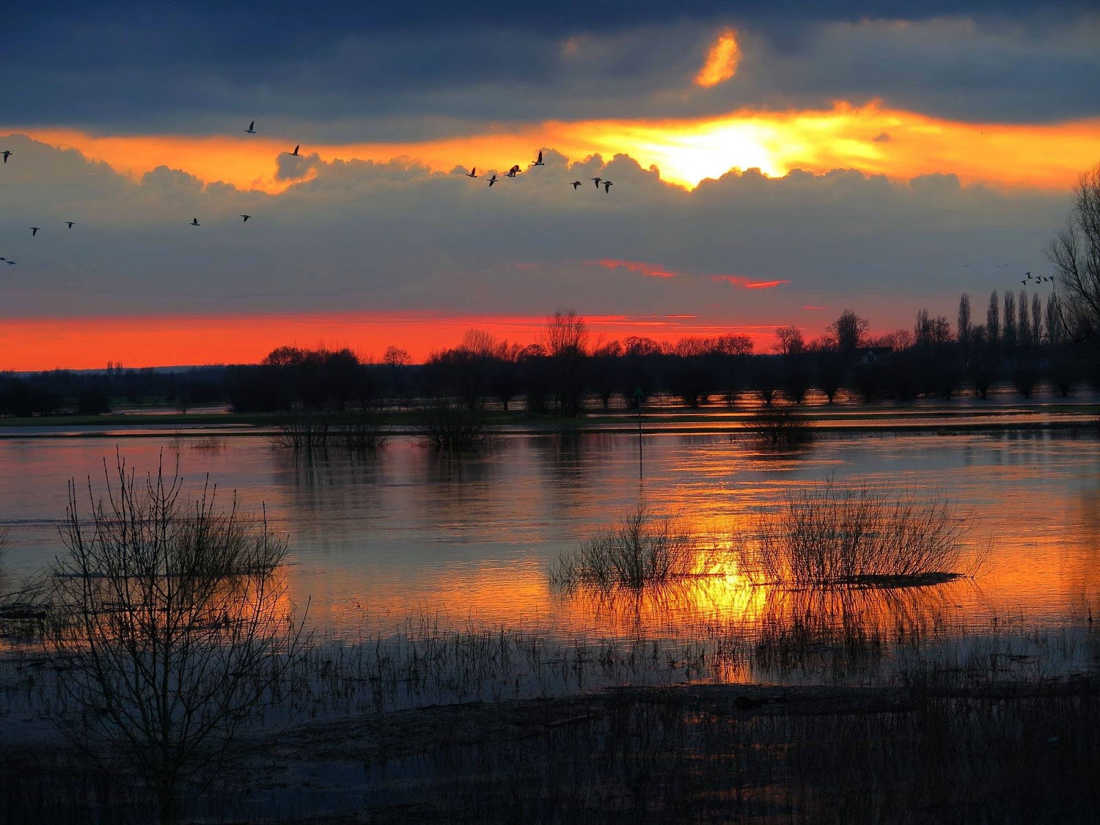 Binnenkant : Wat is de IJssel mooi!