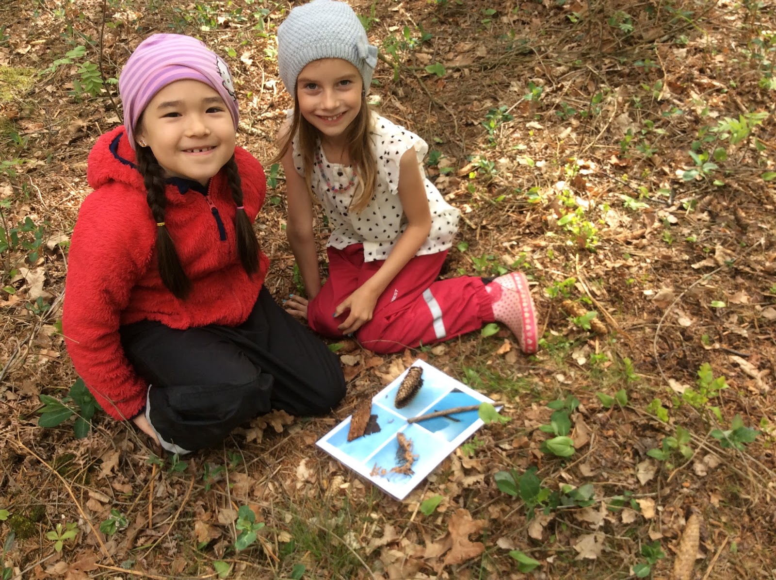 Förskoleklass C: Skogsbingo!