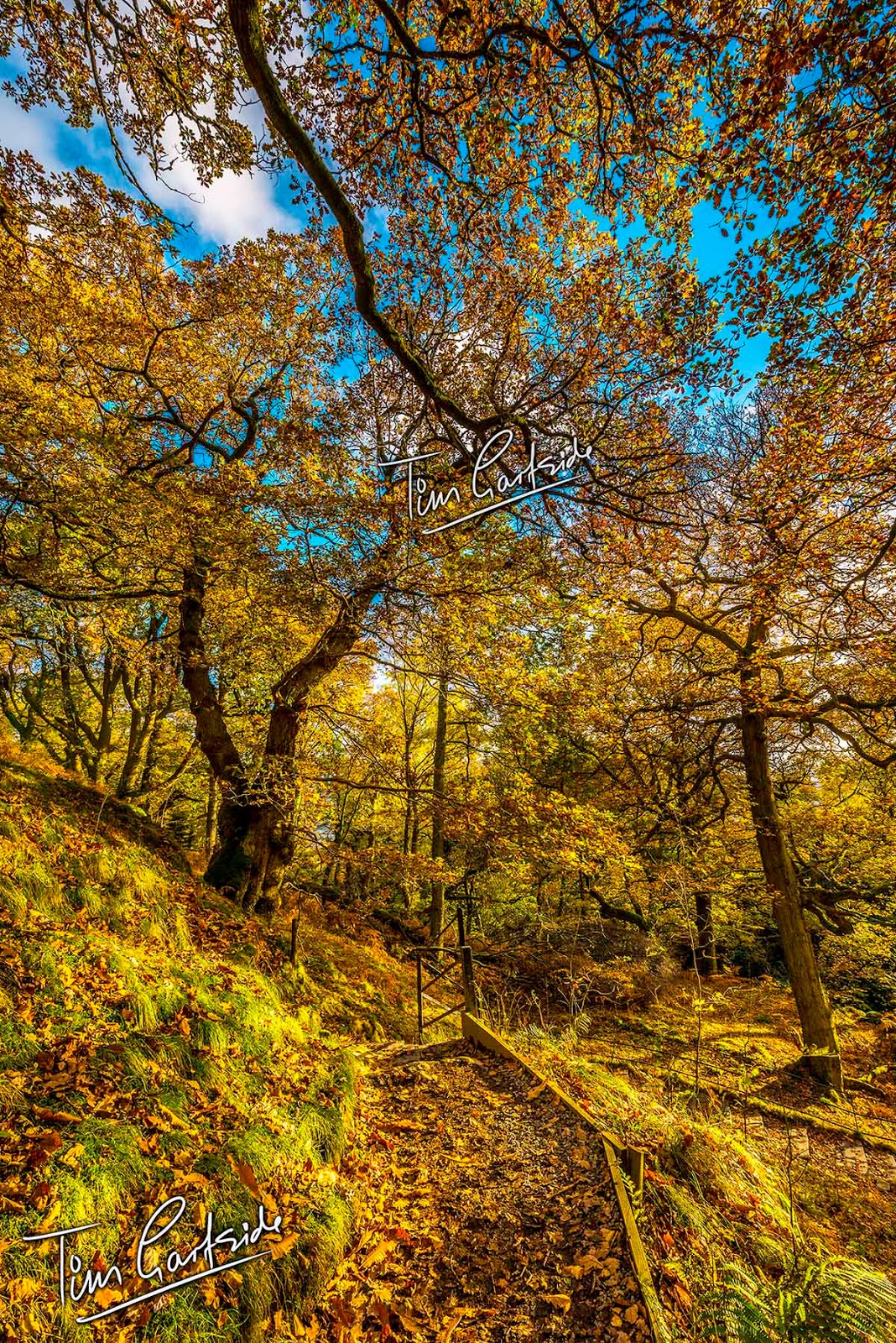 Tim Gartside Photography Workshop Blog