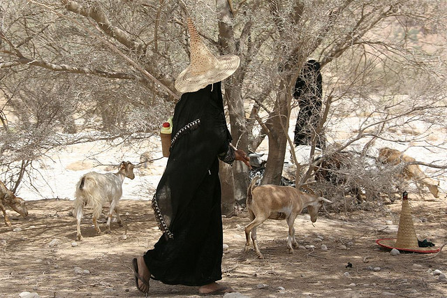 The Women Goat Herders of Hadhramout