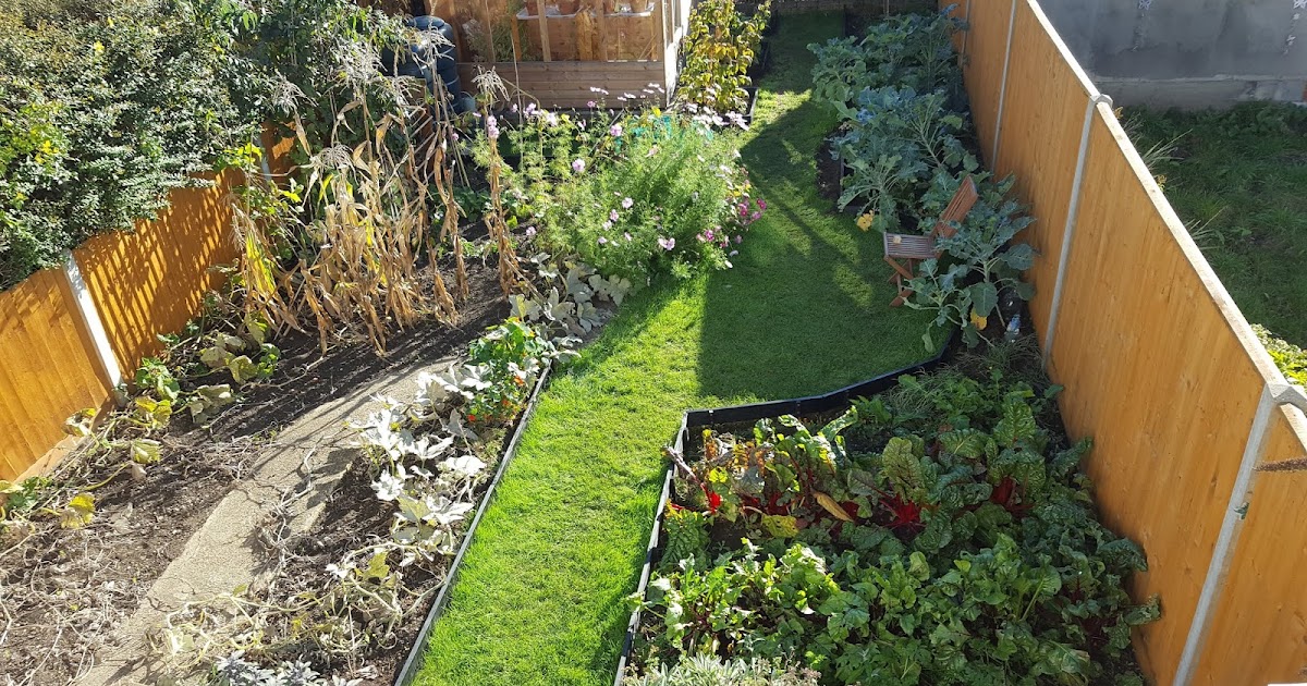 Veg patch from scratch: Edging made from decking boards