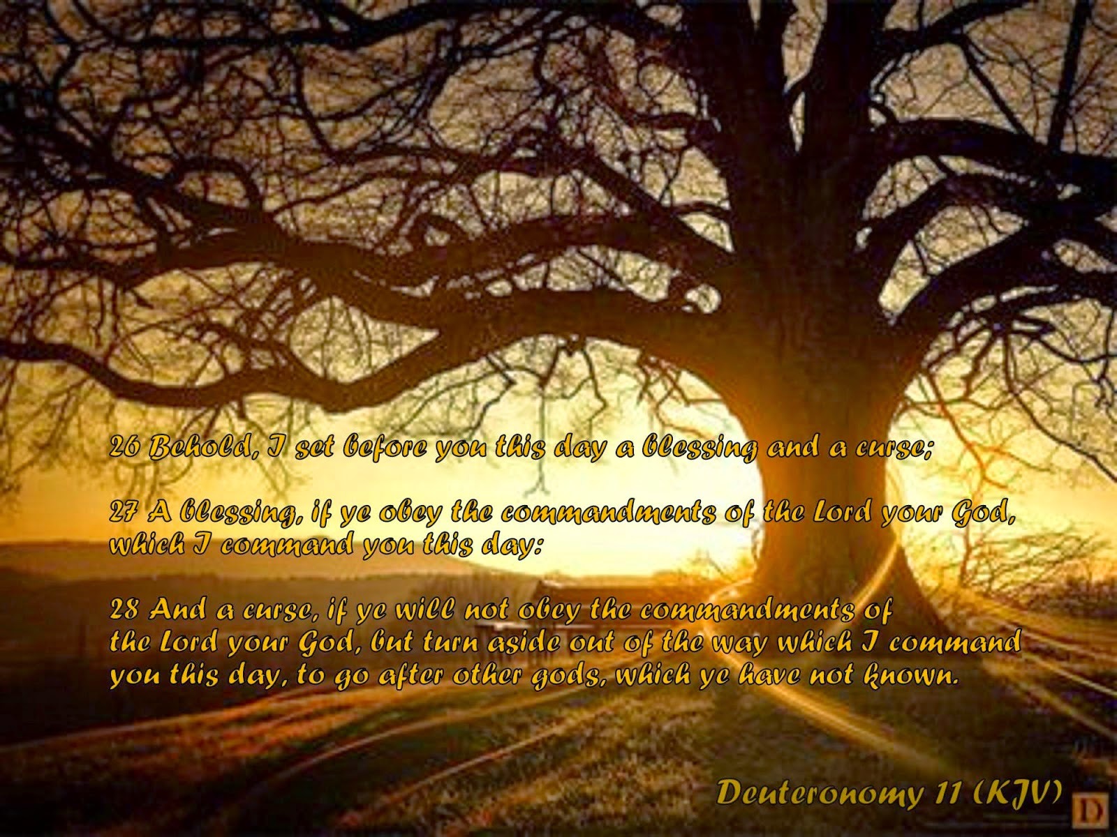 Red Pill Diaries: Deuteronomy 11 (KJV)