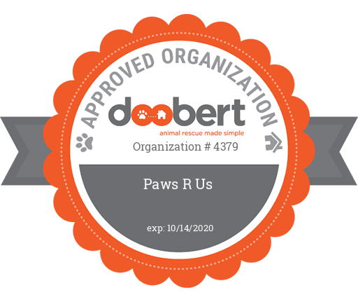 Paws R' Us: Adoptable Dogs