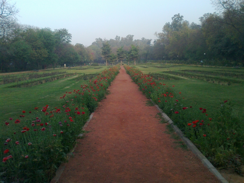 PhotoStew: Rose Garden, Hauz Khas, New Delhi