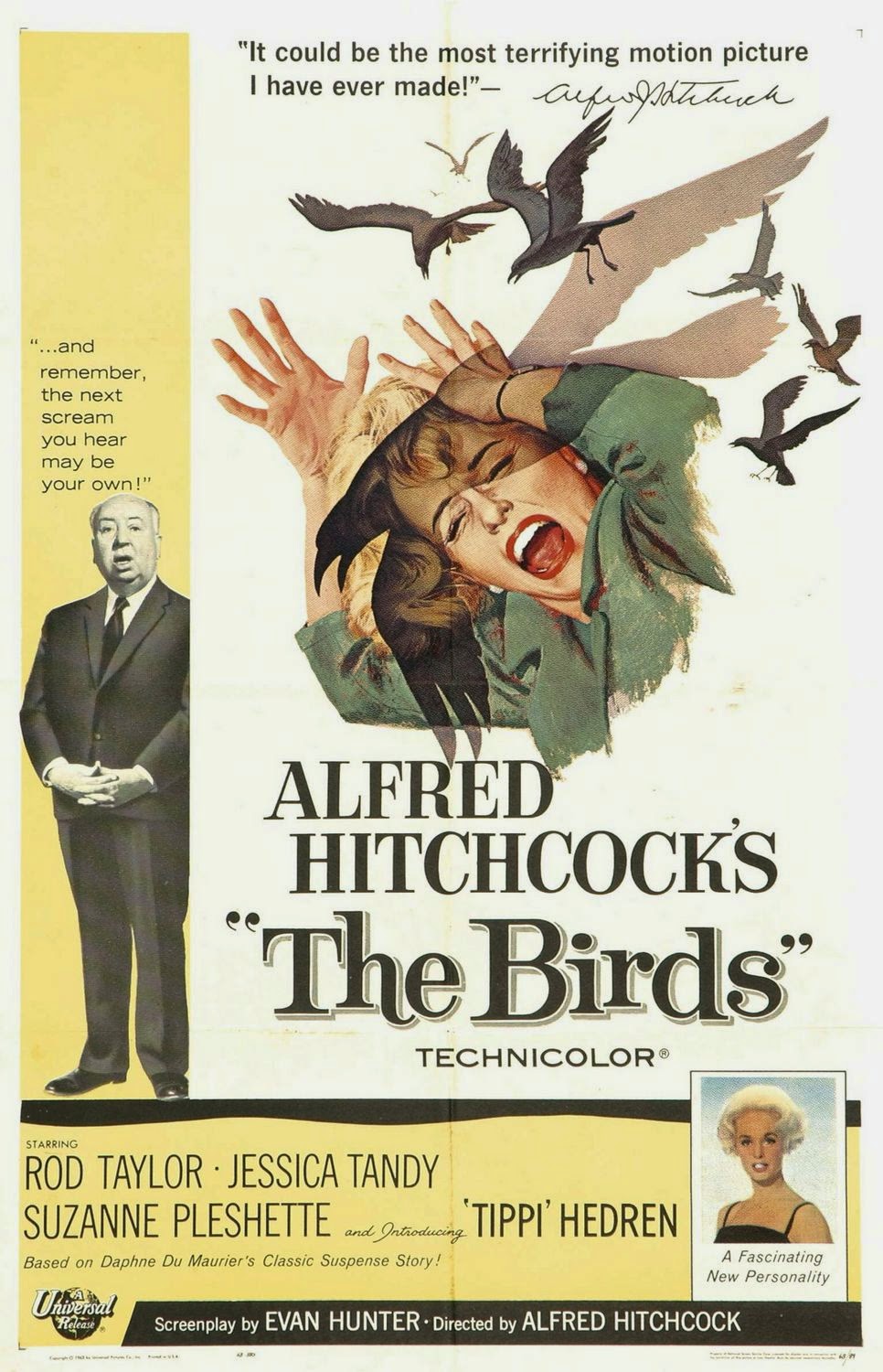 Welcome to the Film Review blogs: The Birds/The Birds II: Land's End