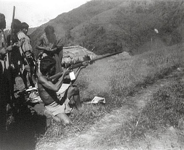 Patrick von Stutenzee's History Blog: Naga Queen