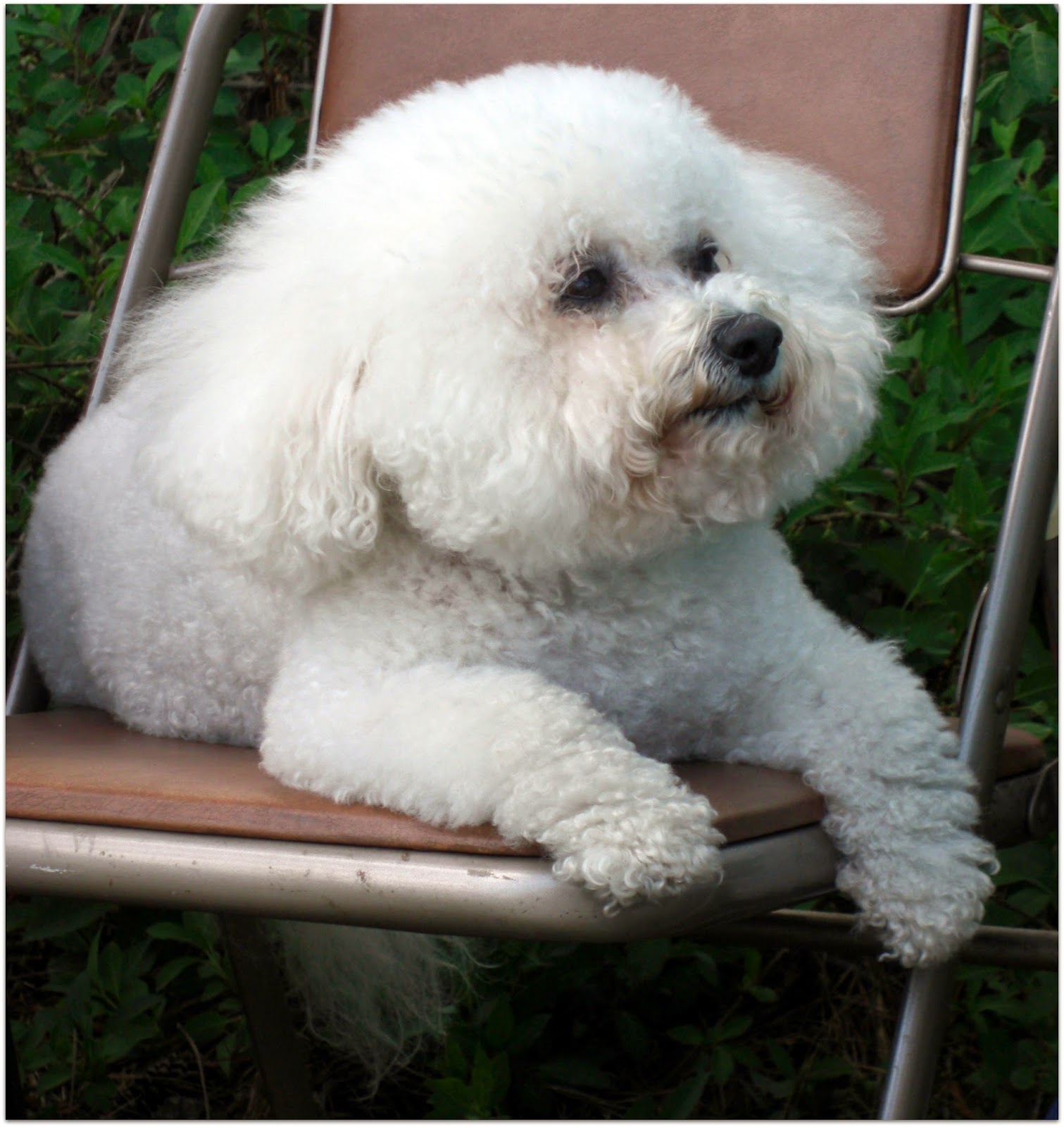 silvieon4: July 2014