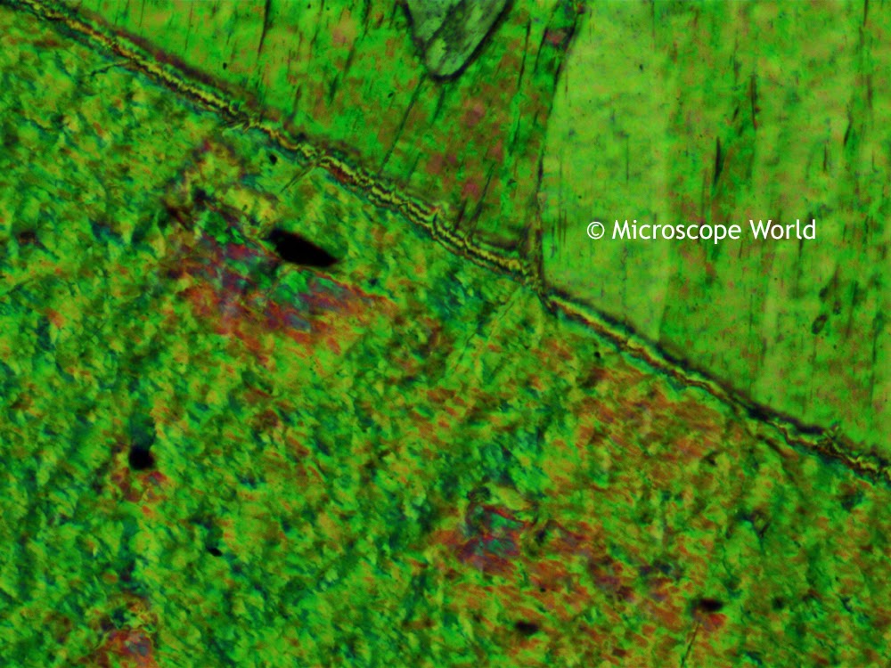 Microscope World Blog: Tremolite Under a Polarizing Microscope