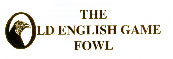 Breed Savers: Standard Old English Game Fowl