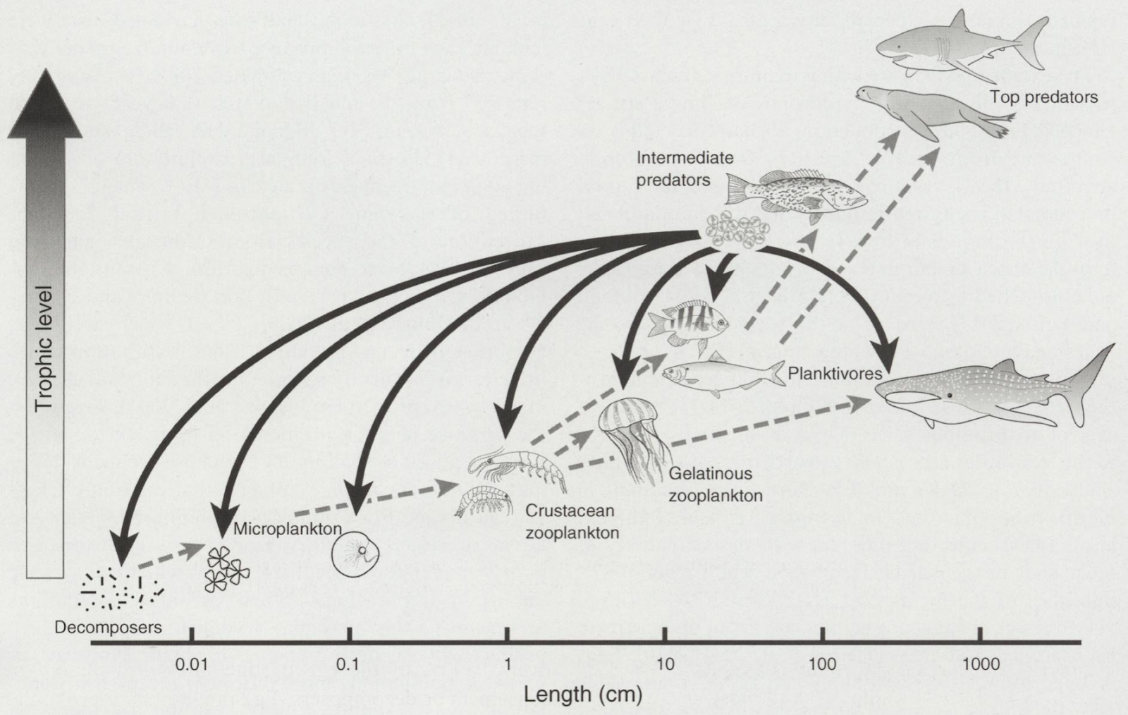 Virginia Tech Ichthyology Class : Groping with Multiple Risks on ...