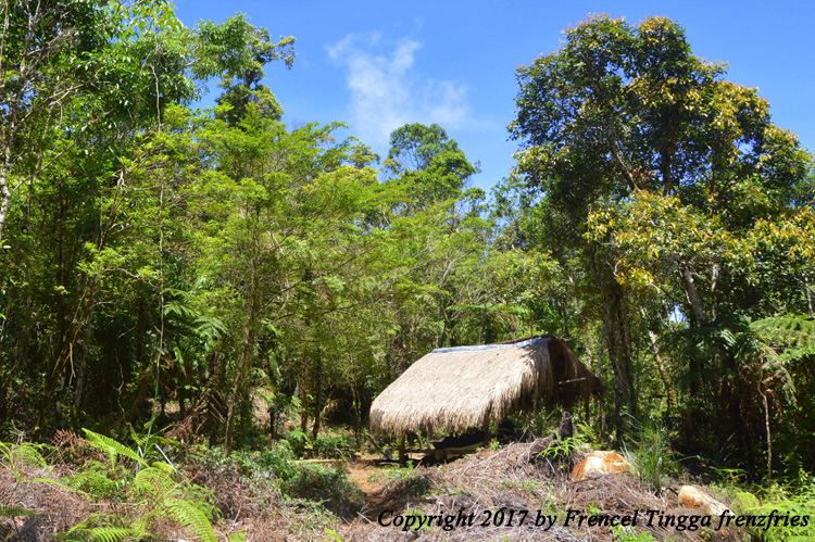 Frenz Fries: Mt. Tapulao: The Rocky Road to Summit
